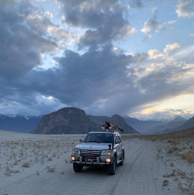 Rent a Car and Jeep for Toyota Tour (2025) - Tripscon