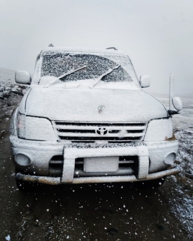 Rent a Car and Jeep for Toyota Tour (2025) - Tripscon